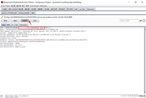 目录遍历漏洞 6个实验全 云社区 华为云