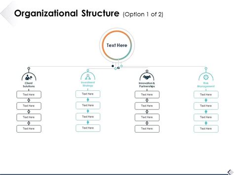 Organizational Structure Option Of Ppt PowerPoint Presentation Pictures Themes