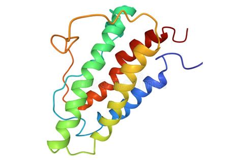 Eritropoetina Humana Epo Epoetina Hormona Proteica Estimula A Produção De Glóbulos Vermelhos
