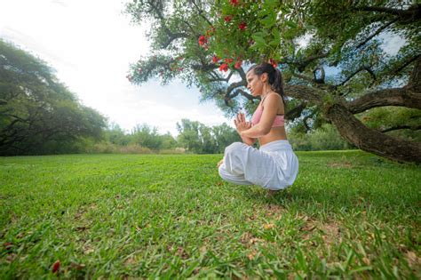 녹색 공원에서 나무 아래에서 요가를 연습하는 젊은 여성의 측면보기웰빙 개념복사 공간 International Yoga Day에 대한 스톡 사진 및 기타 이미지