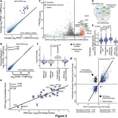 Validation Of APEX Seq A APEX Seq In The Mitochondrial Matrix Download Scientific Diagram
