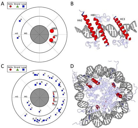 Visualizations For A And B Three DNA Binding Domains Of The Human Download Scientific Diagram