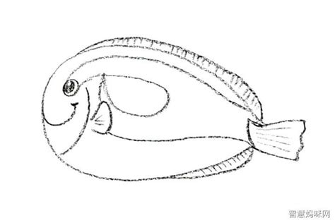 鱼鳍简单简笔画 简笔画图片大全 普车都