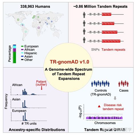 《cell》全球首次：崔亚 李蔚团队利用33万全基因组测序数据揭示人类跨族群串联重复序列扩张的遗传奥秘 知乎