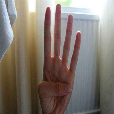 Hands Detection Object Detection Dataset And Pre Trained Model By Ensam