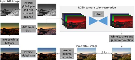 Rgbn Camera Color Restoration Method Pipeline And Network Training Download Scientific Diagram