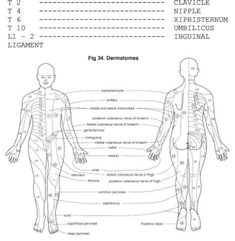 Subarachnoid Block Also Known As Spinal Block Wfsa Resources