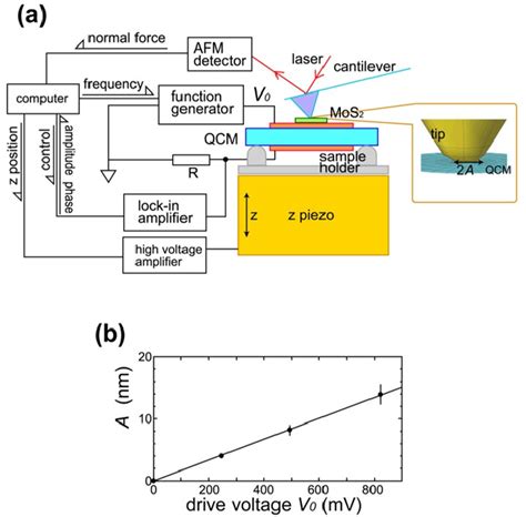Experimental Setup And Method Of Determining Oscillating Amplitude A Download Scientific