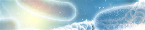 Metagenomics And Metatranscriptomics Analysis Using Atcc Whole Cell