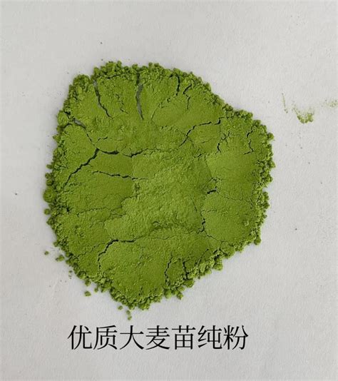 上海宁望食品有限公司提供大麦苗粉 FoodTalks食品供需平台