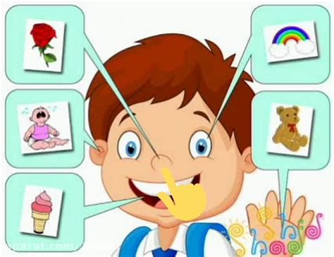 کلیپ کودکانه حواس پنجگانه