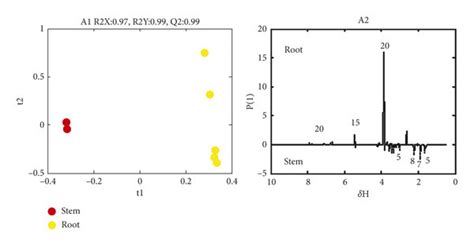 Pls Da Score Plot A1 E1 And Linear Loading Plot A2 E2 Of The