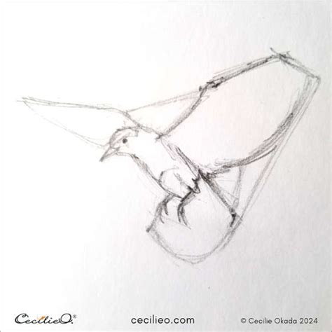 How To Draw A Easy Bird Flying