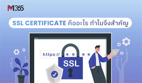 Ssl Certificate คืออะไร ทำไมจึงสำคัญ