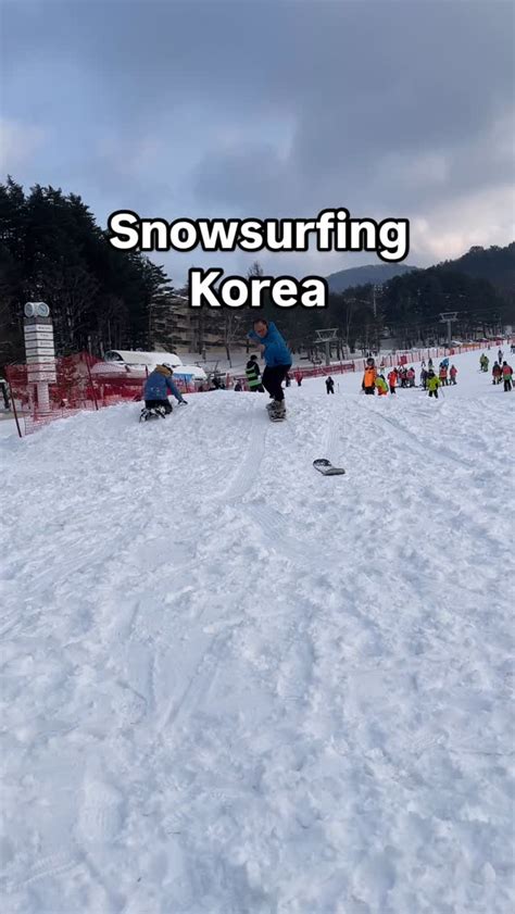 스노서핑 스키 보드 서핑 Snowsurfingkorea • Instagram Photos And Videos