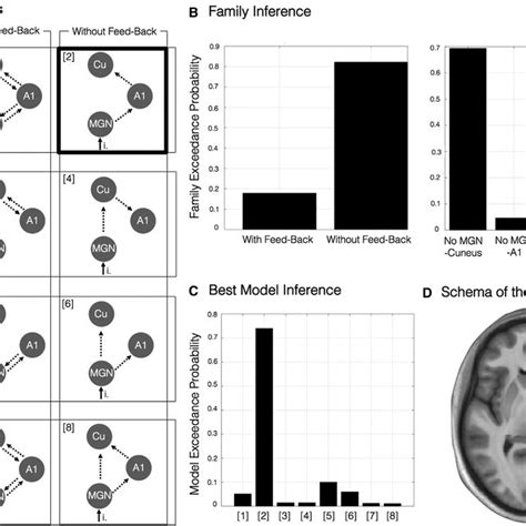 Dynamic Causal Modeling A The Eight Dynamic Causal Models Used For Download Scientific