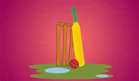 Understanding The Duckworth Lewis Stern Dls Method In Cricket