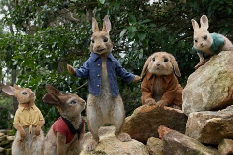 Peter Rabbit