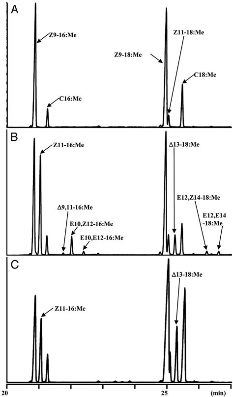 Involvement Of A Bifunctional Fatty Acyl Desaturase In The Biosynthesis
