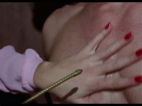 La Encantadora Mujer Es Una Infiel