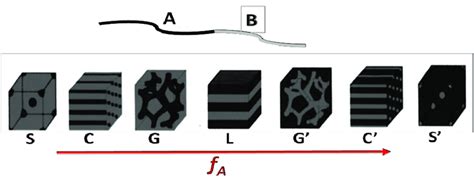 Morphologies Of Ab Block Copolymers In Bulk Here S And S