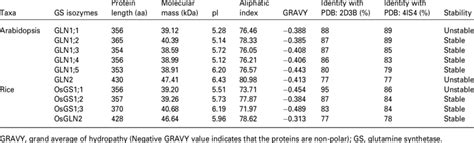 Biochemical Characterization And Sequence Similarity Of Gs Isozymes In
