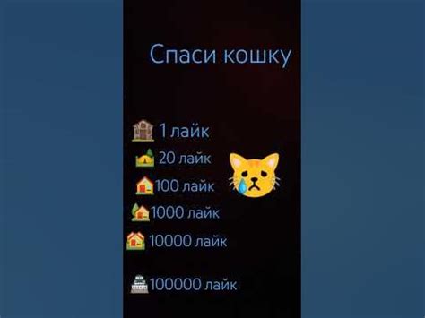 Спаси кошку - YouTube