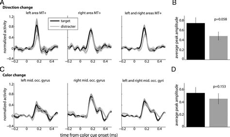 Sustained Attention Extrastriate Visual Cortices A Average Virtual