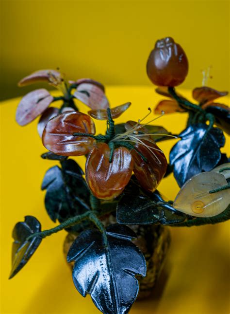 Ширээний цэцэгЗахиалгаар ТӨҮГ