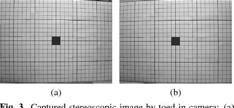 Figure From Horizontal Parallax Distortion Correction Method In Toed In Camera With Wide Angle