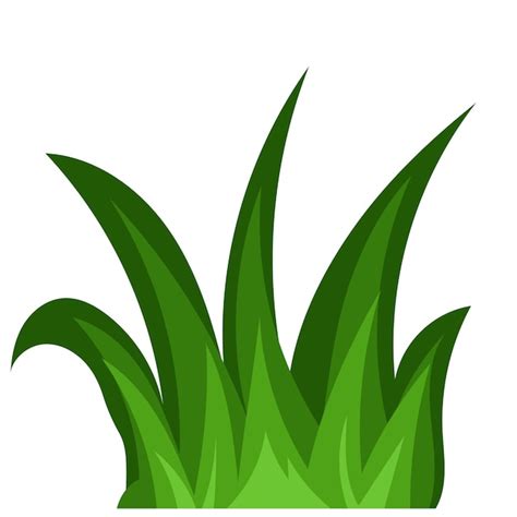 Vector De Hierba Png Vector Premium
