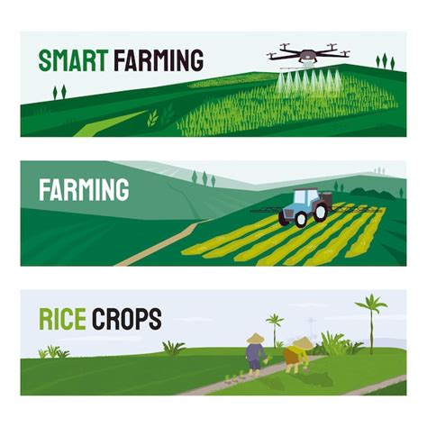 Premium Vector Illustrations Of Smart Farming Rice Crops Agriculture