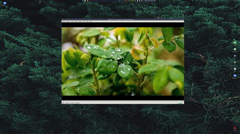 How To Install Multimedia Codecs On Opensuse Linux Cialunet