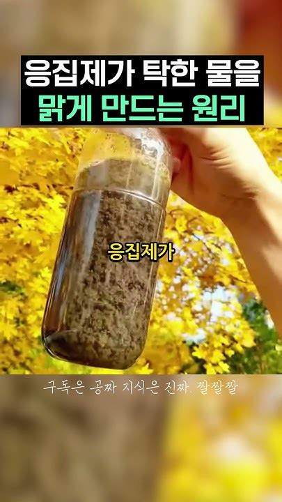 응집제가 탁한 물을 맑게 만드는 원리 Youtube