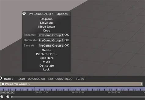 Precomp Disguise User Guide