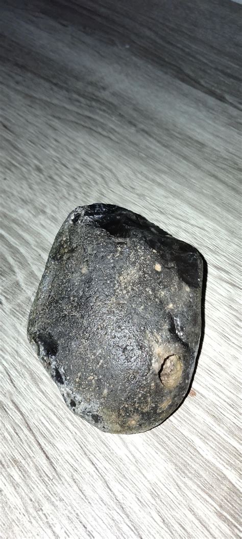 Is This A Fossil Im Not Really Sure R Whatsthisrock