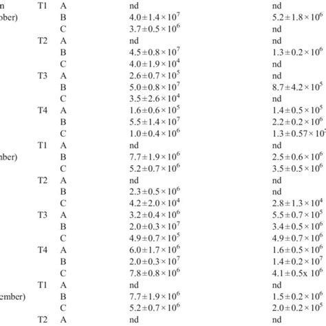 Identification Of The Filamentous Fungi Isolated During Technological Download Scientific