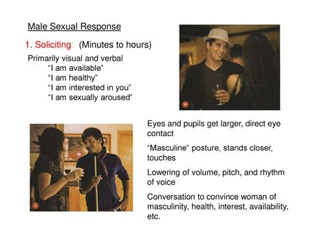 Previous Lectures And Videos Discussed How Anatomy Physiology Of The Human Reproductive