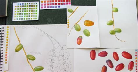 Botanical Sketches And Other Stories A Date With Colour