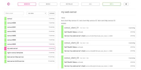 基于docker consul nginx consul template的服务负载均衡实现 运维随笔