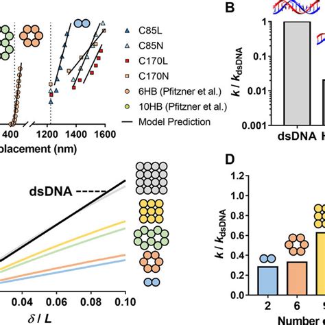 Modified Bases Found In Phage T4gt 5hmc T4 5gmc Xp12 5mc And Download Scientific