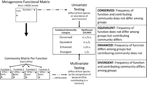Diagram Illustrating The Statistical Testing And Inferences Used To Download Scientific Diagram