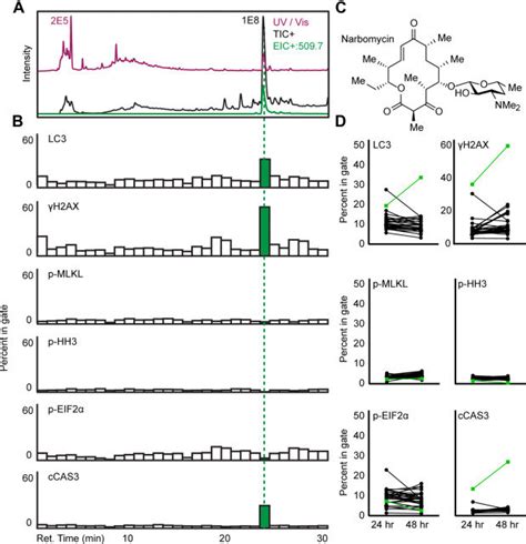 New Screening Method Could Pave The Way For Future Cancer Drug Discoveries Trendradars