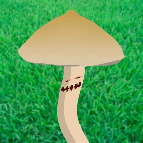 Cogu Dançando Album On Imgur