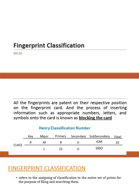 Finger Print Classification Pdf Fingerprint Hand