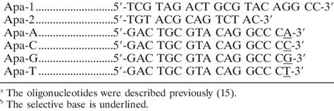 Oligonucleotide Sequences Used In This Study A Oligonucleotide Sequence B Download Table