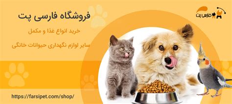 اسم سگ ماده محبوب ترین نام‌های سگ برای نژاد ماده فارسی پت