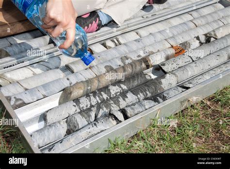 Female Geologist Inspecting And Logging NQ Diamond Drill Core For Gold Mineralisation Stock