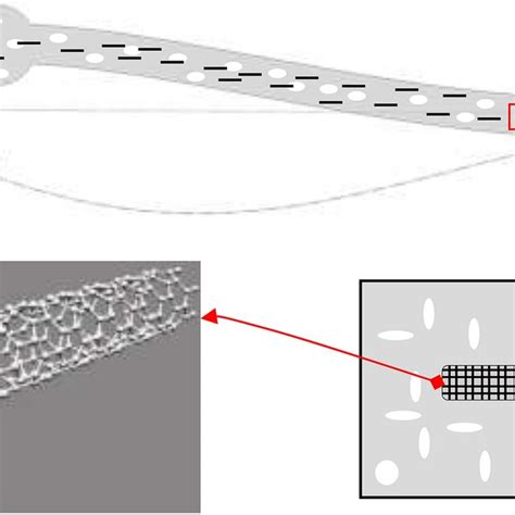 Schematic Representation Of Porous Axially Functionally Graded Cnt Download Scientific Diagram