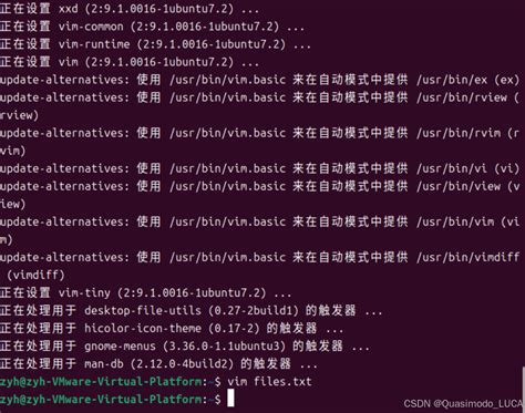 解决ubuntu中下载vim时遇到 有几个软件包无法下载”后，根据提示输入 Apt Get Update”依然报错，显示几个操作 权限不够”的问题ubuntu下载vim Csdn博客